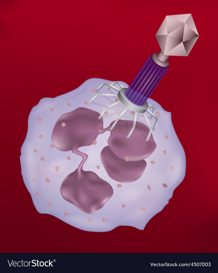 Virus Royalty Free Vector Image - VectorStock