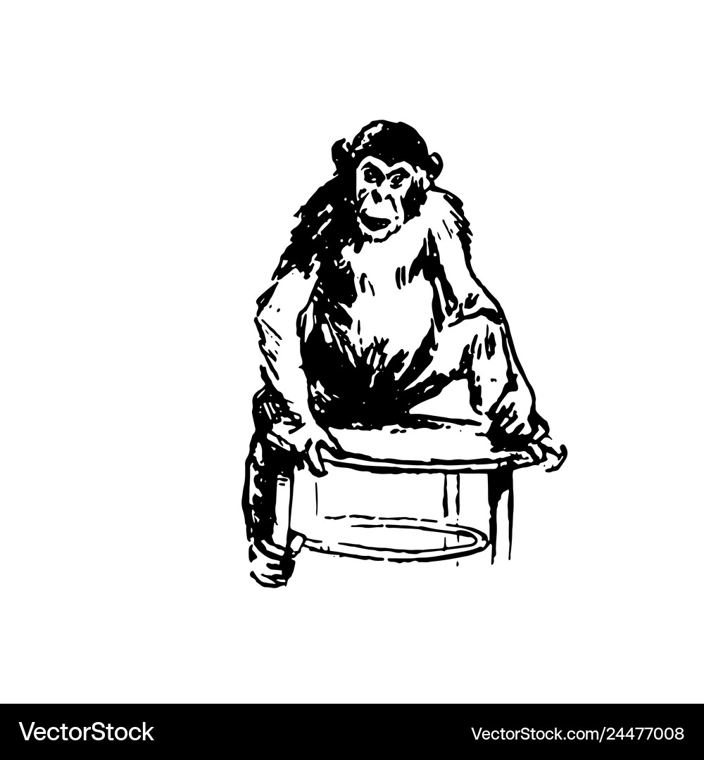 Hand drawn sketch of monkey isolated Royalty Free Vector