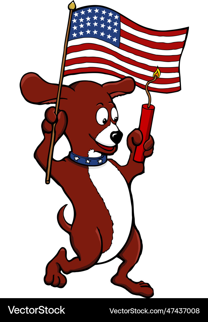 Patriotic beagledog holding flag and firecracker Vector Image