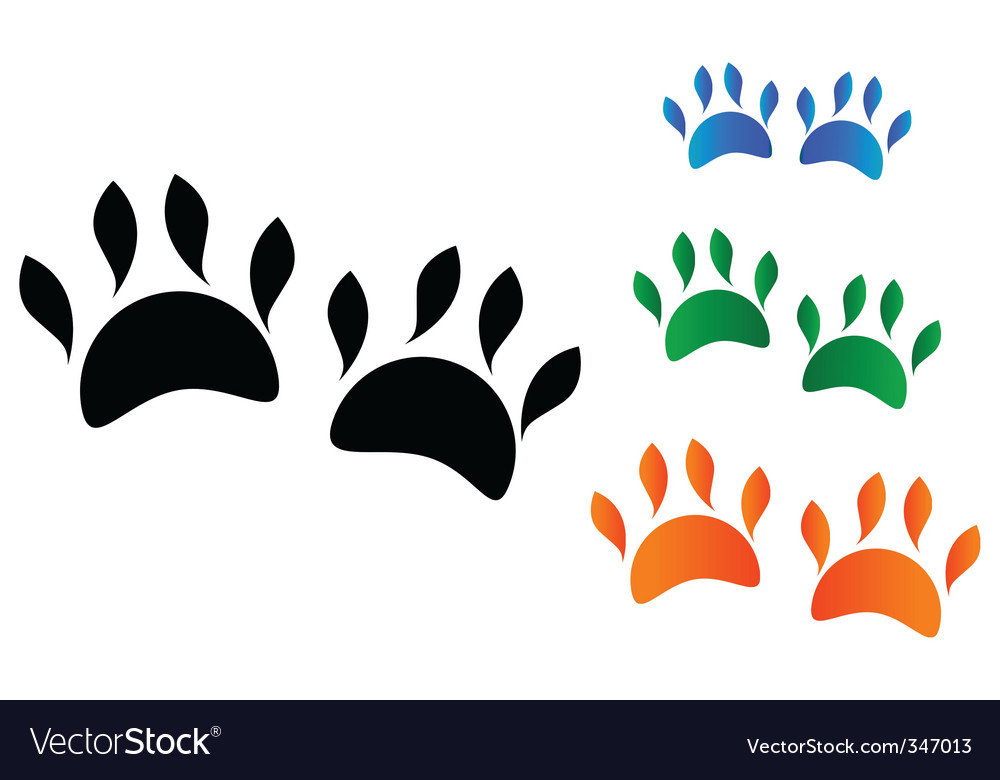 Animals paws Royalty Free Vector Image - VectorStock
