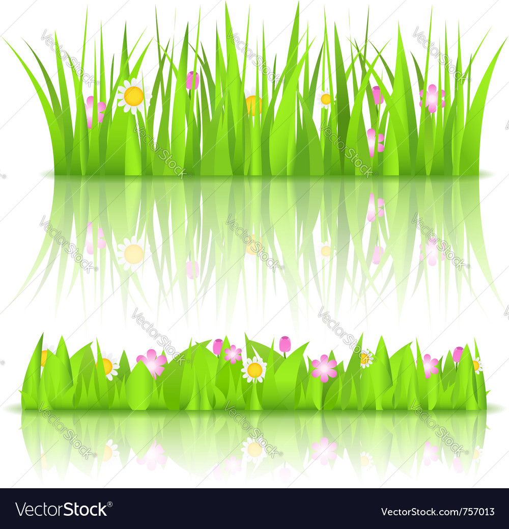 Grass Royalty Free Vector Image - VectorStock