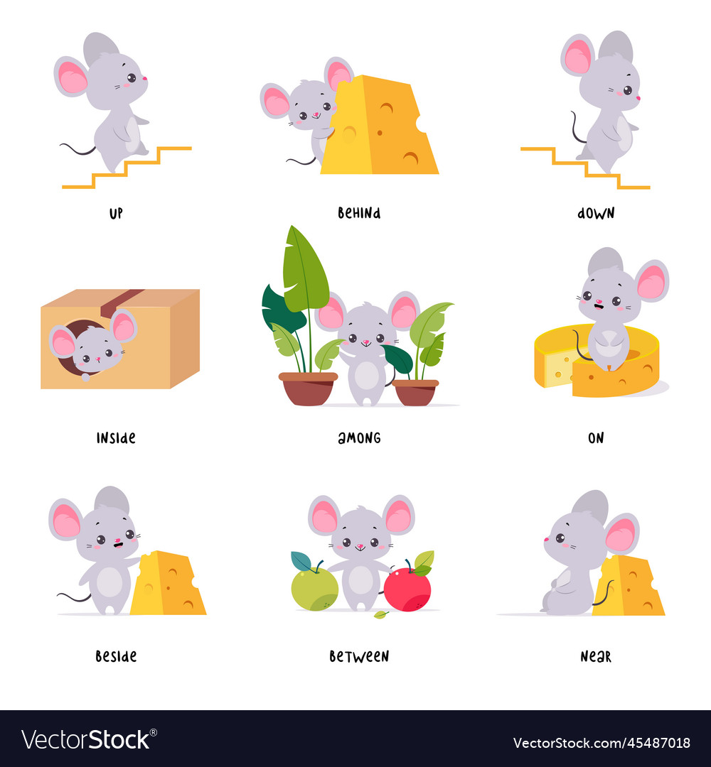 Little mouse and english language preposition Vector Image