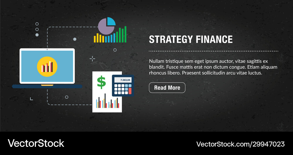 Strategy finance concept banner internet Vector Image