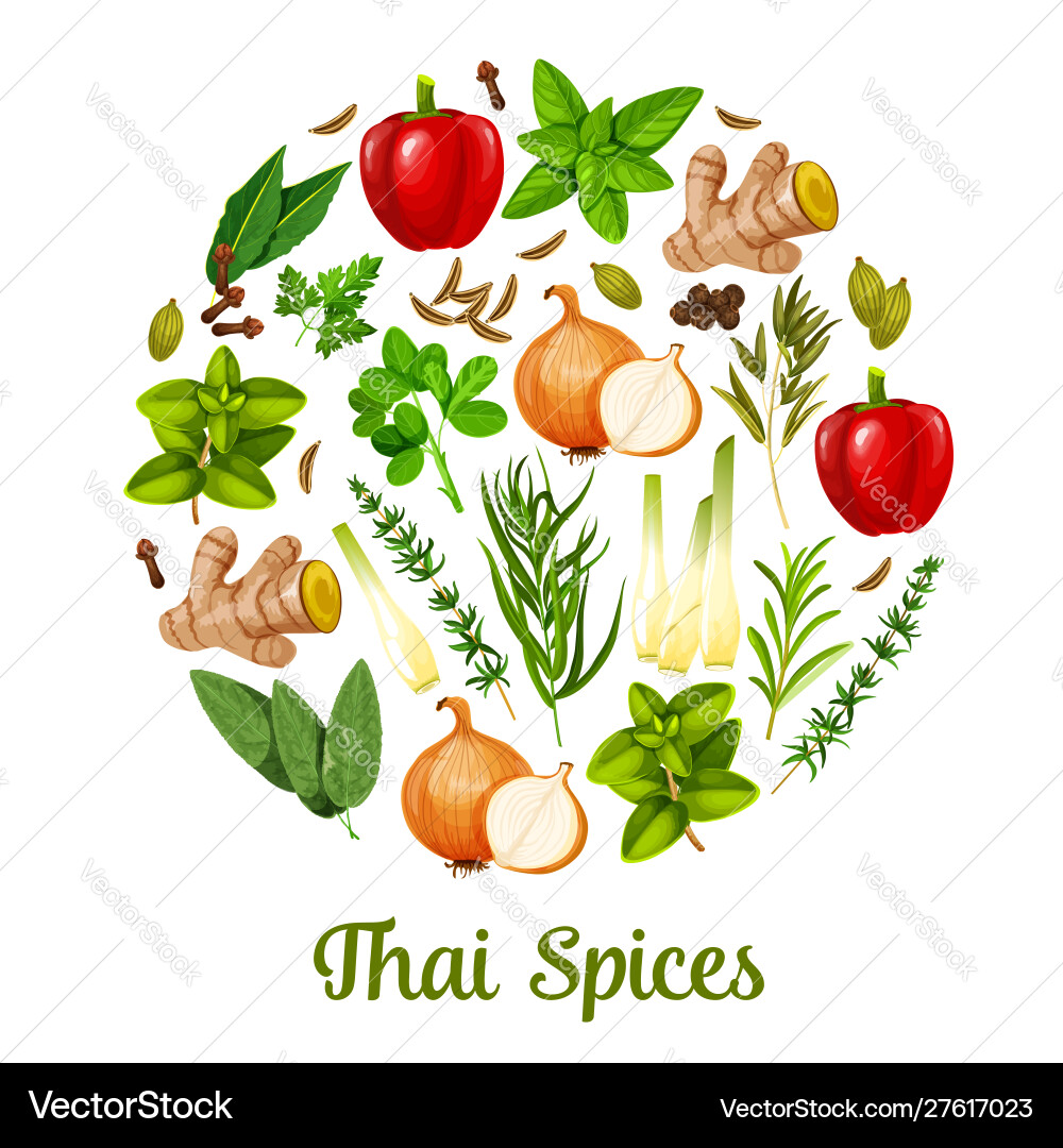 Thai herbs and spices cooking ingredients Vector Image