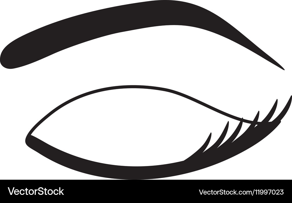 Woman eye closeup Royalty Free Vector Image - VectorStock
