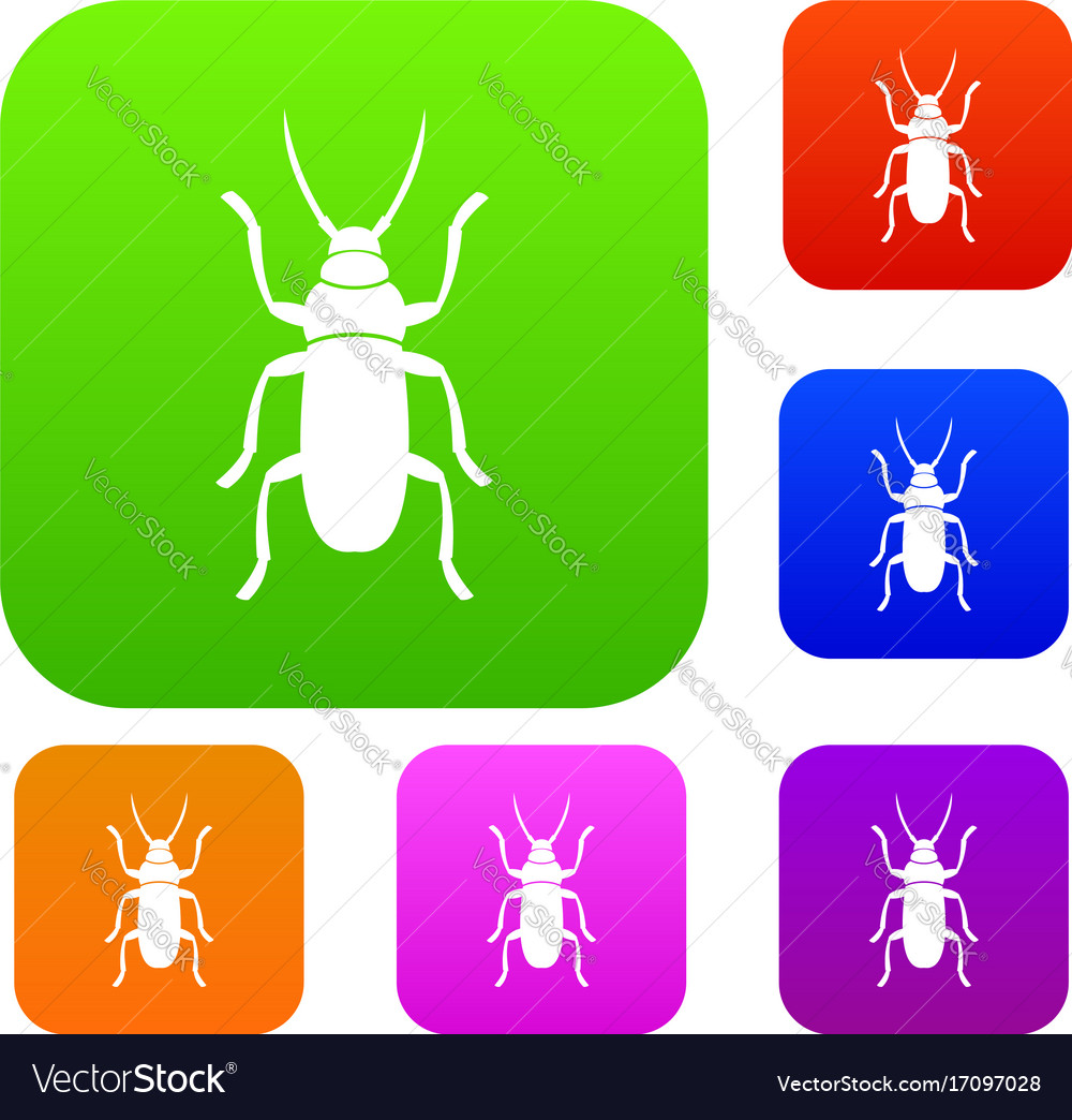 Beetle bug set collection Royalty Free Vector Image