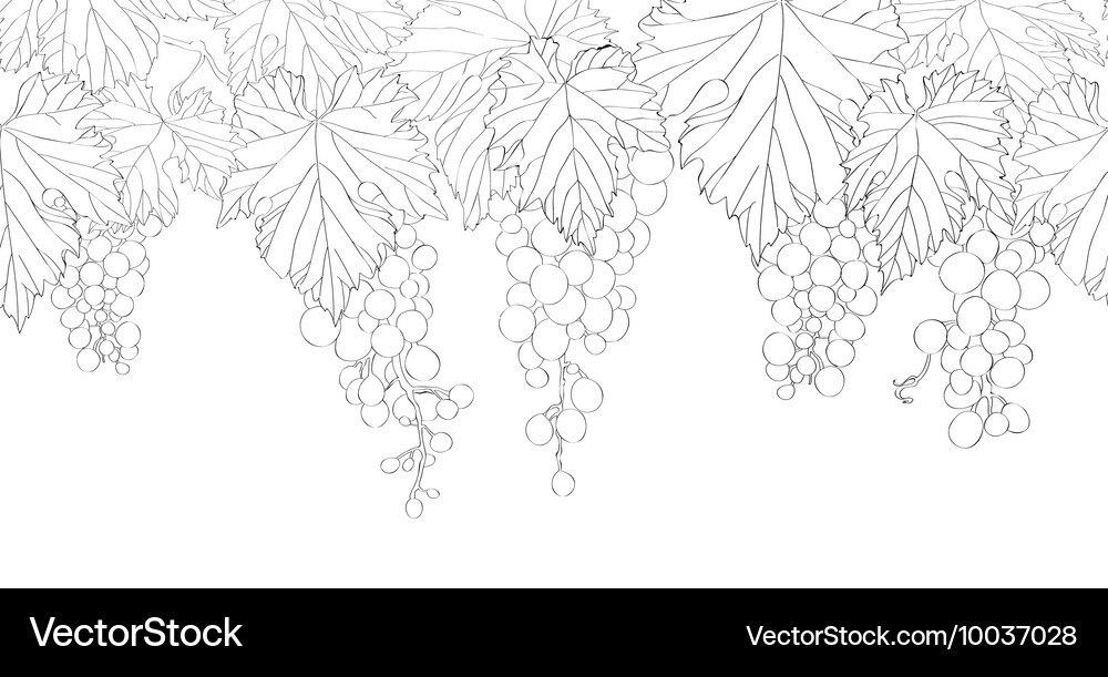 Seamless pattern with hand drawn bunch of grapes Vector Image