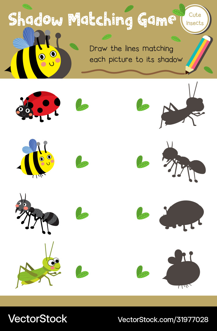 Shadow matching game insect bug animal Royalty Free Vector