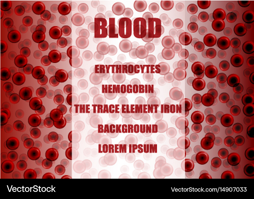 Red blood cells erythrocytes Royalty Free Vector Image
