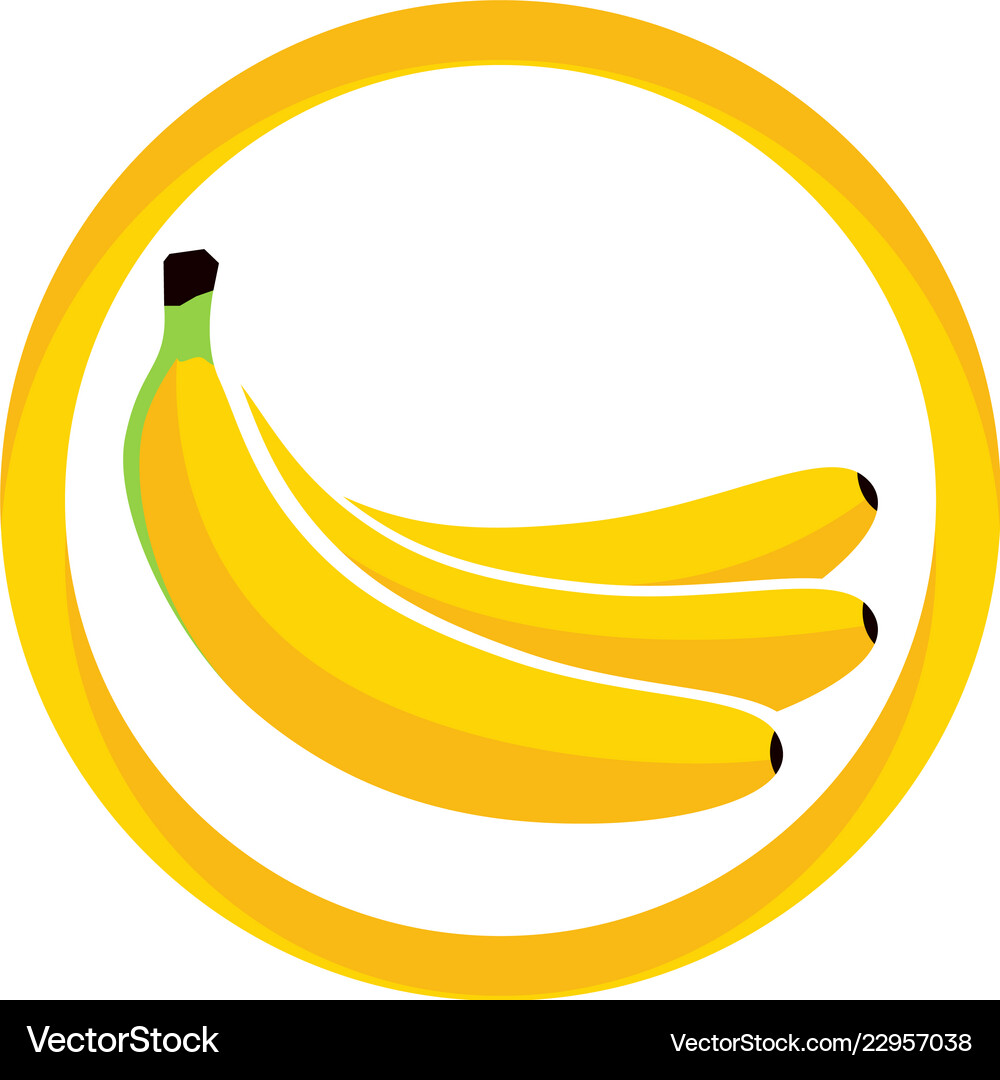 Bananan fruits template logo Royalty Free Vector Image