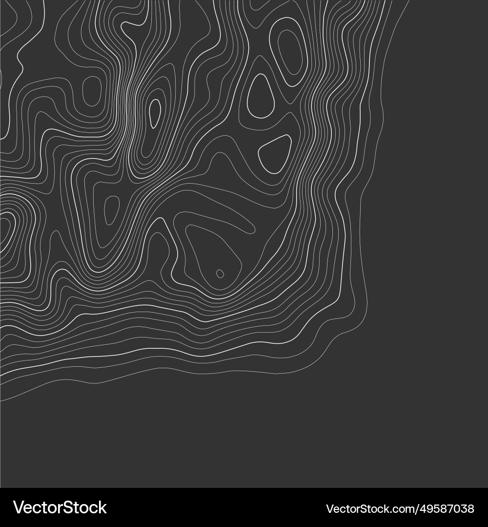 Grey contours topography mountain terrain Vector Image