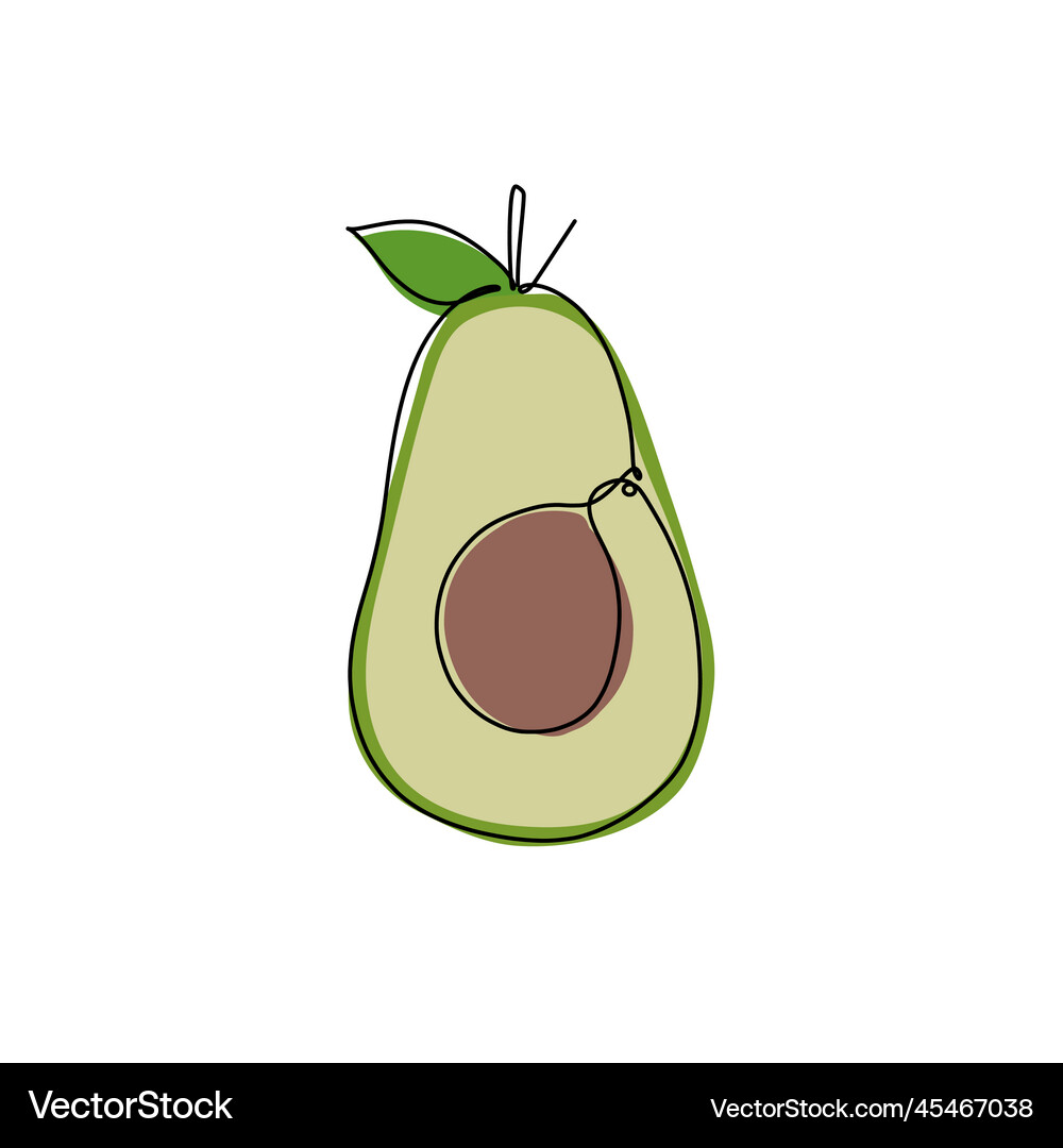 Hand draw avocado icon in single line style Vector Image