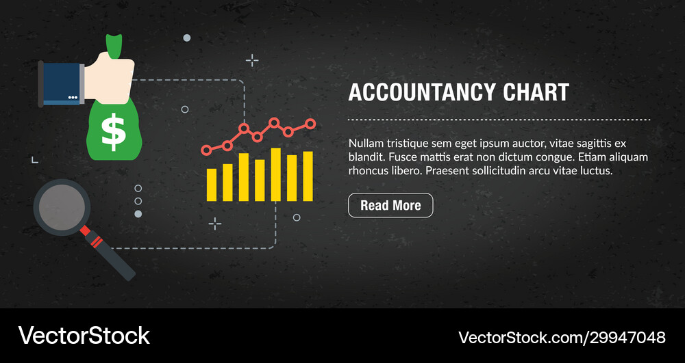 Accountancy chart banner internet with icons Vector Image