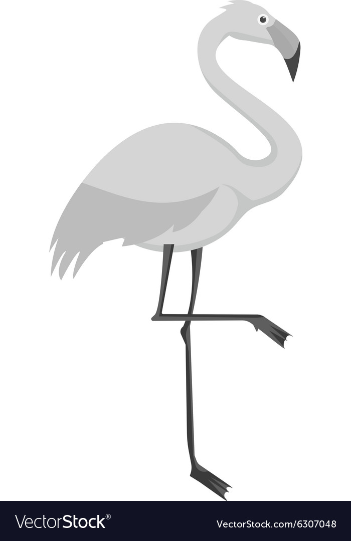 Flamingo Royalty Free Vector Image - VectorStock