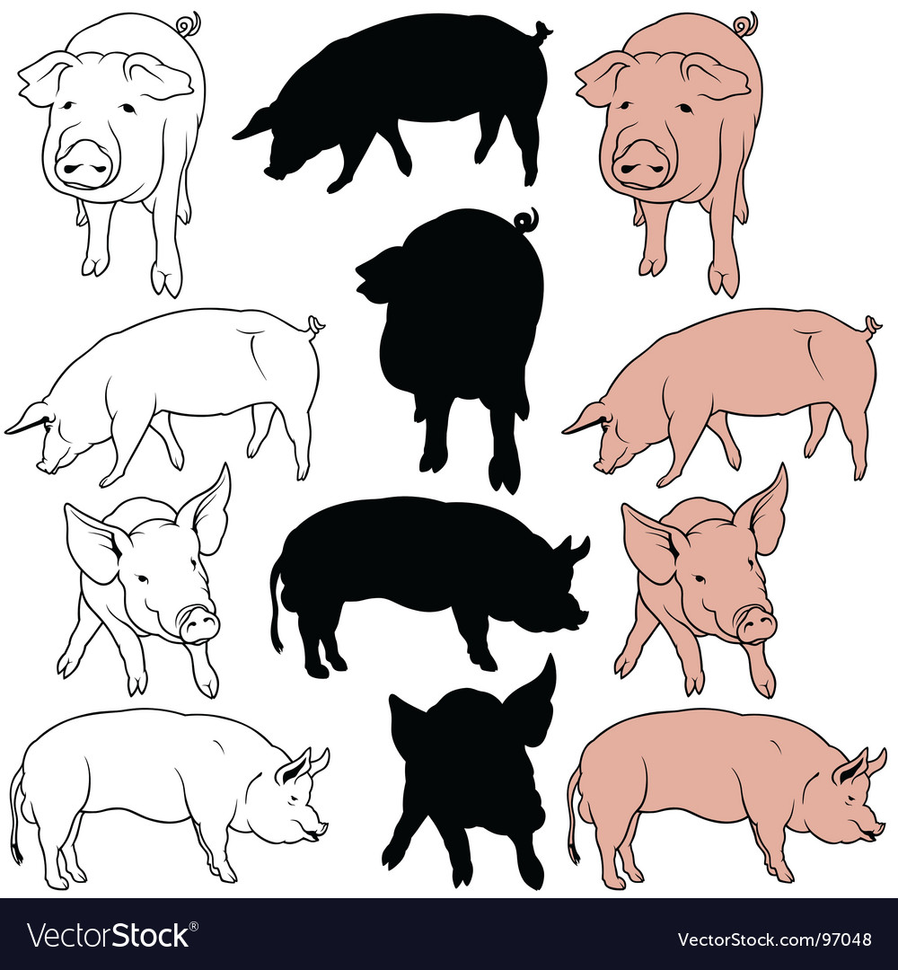 Pigs set Royalty Free Vector Image - VectorStock