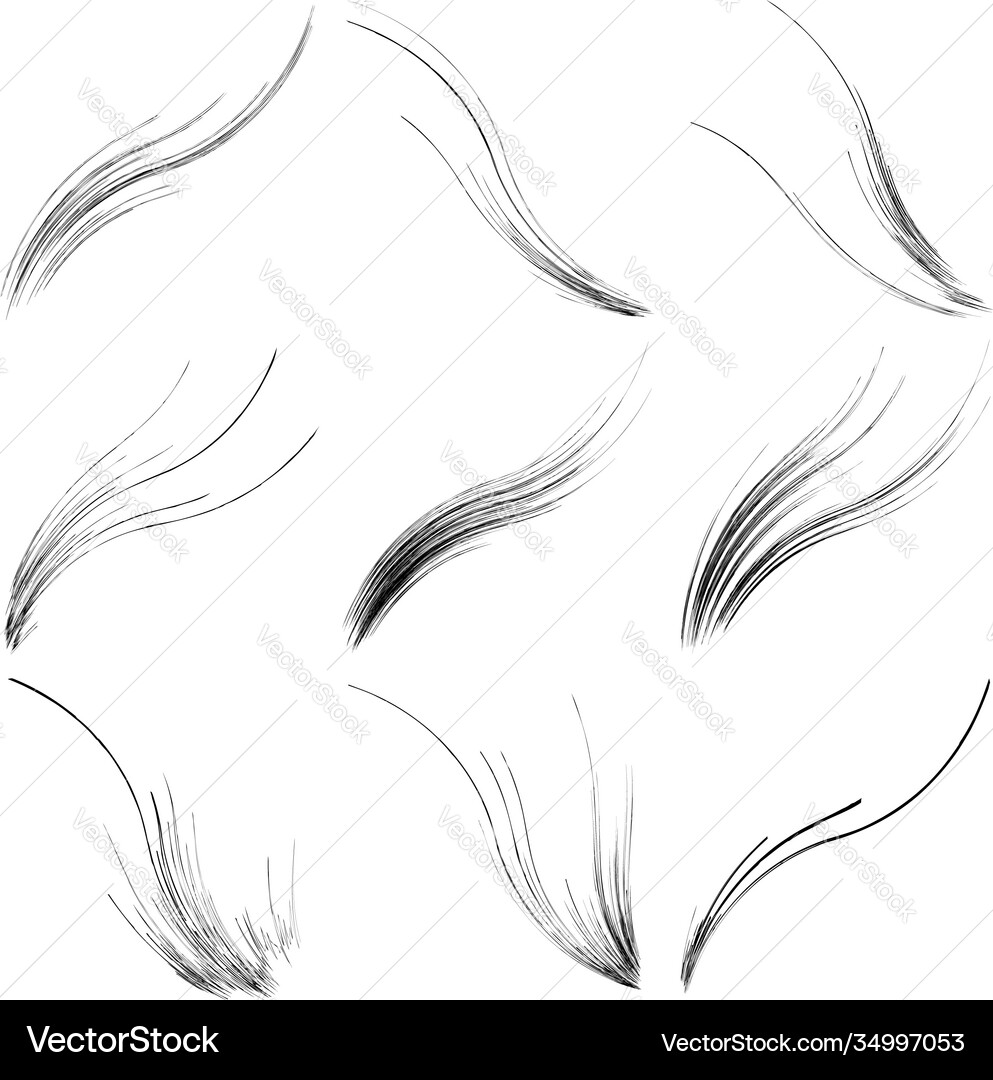 Organic weed grass like curvy wavy lines Vector Image