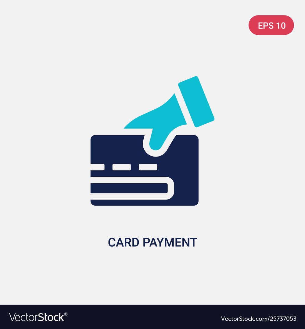 Two color card payment icon from e-commerce Vector Image