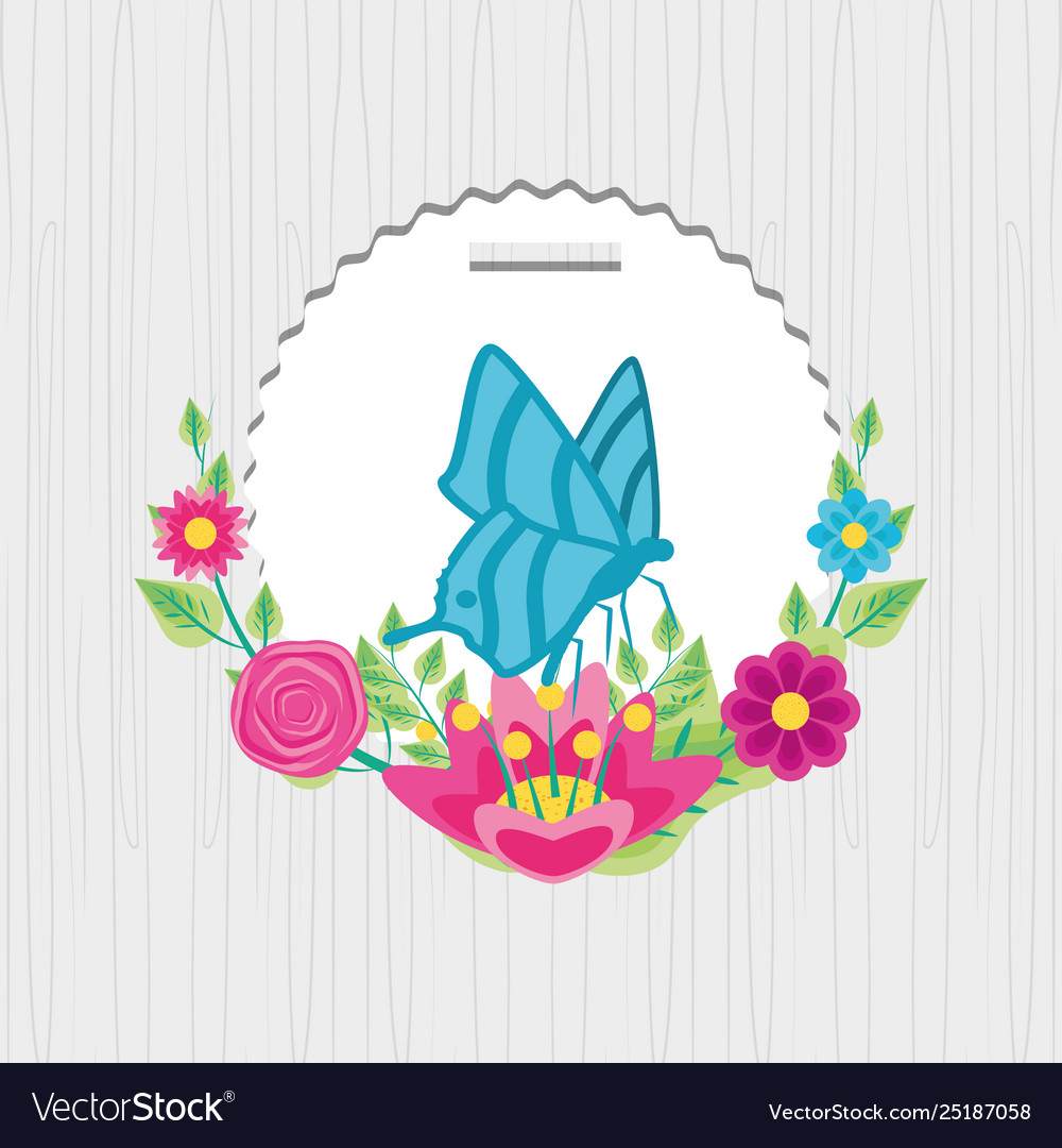 Butterfly in frame circular with decoration Vector Image