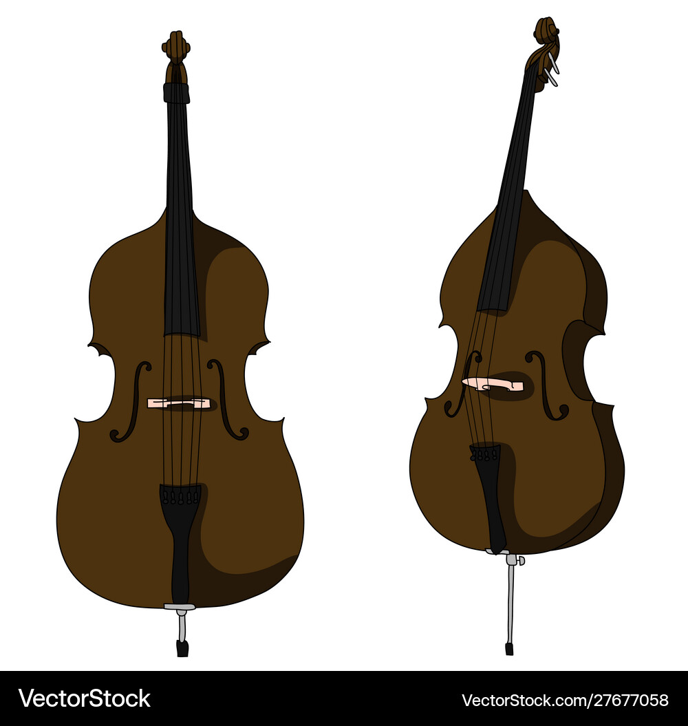 Classic double bass isolated on white Royalty Free Vector
