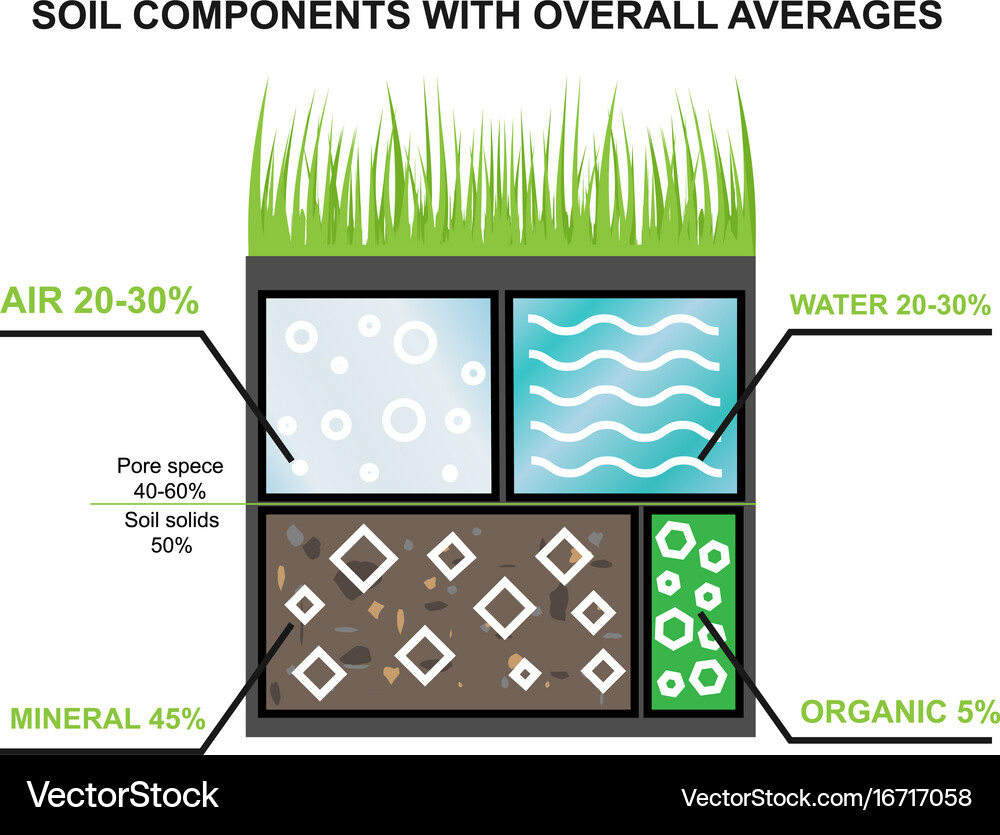 Composition of the soil components earth Vector Image