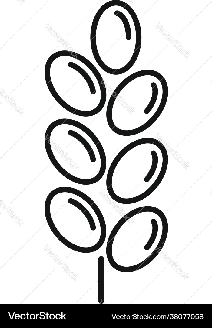 Farm wheat icon outline style Royalty Free Vector Image