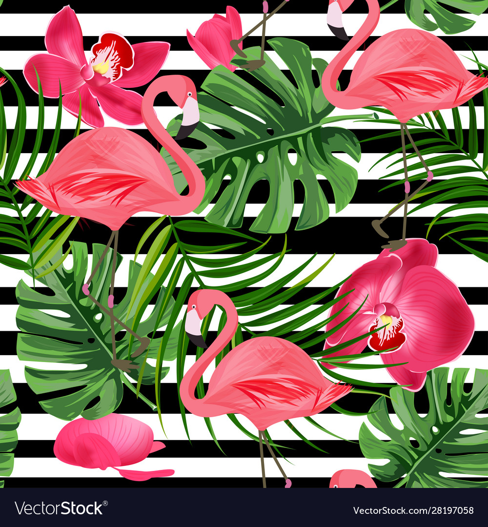 Flamingo seamless pattern summer tropical Vector Image