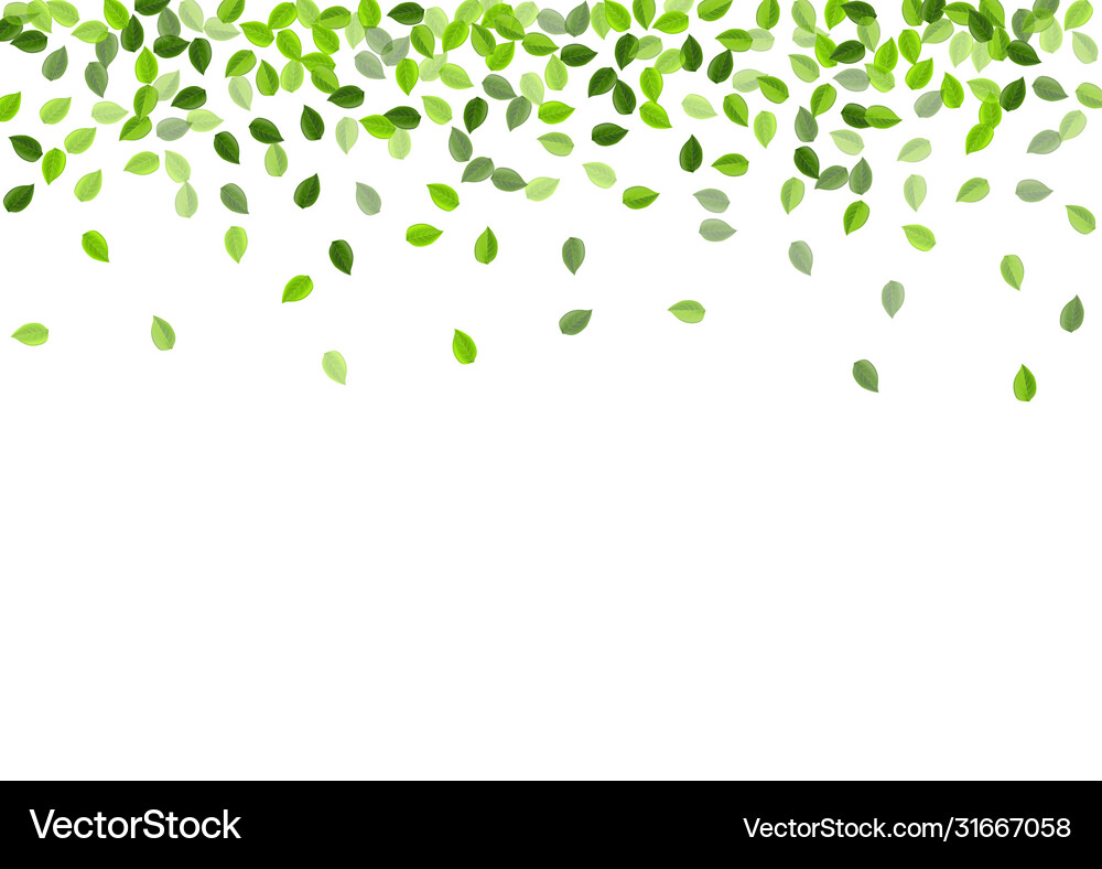 Swamp greens flying border transparent Royalty Free Vector