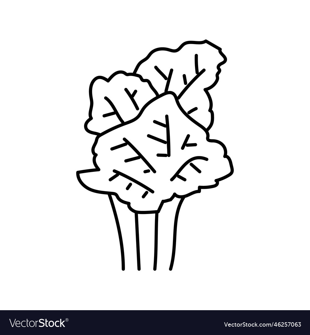 Fishtail palm tree line icon Royalty Free Vector Image Fishtail palm tree line icon Royalty Free Vector Image