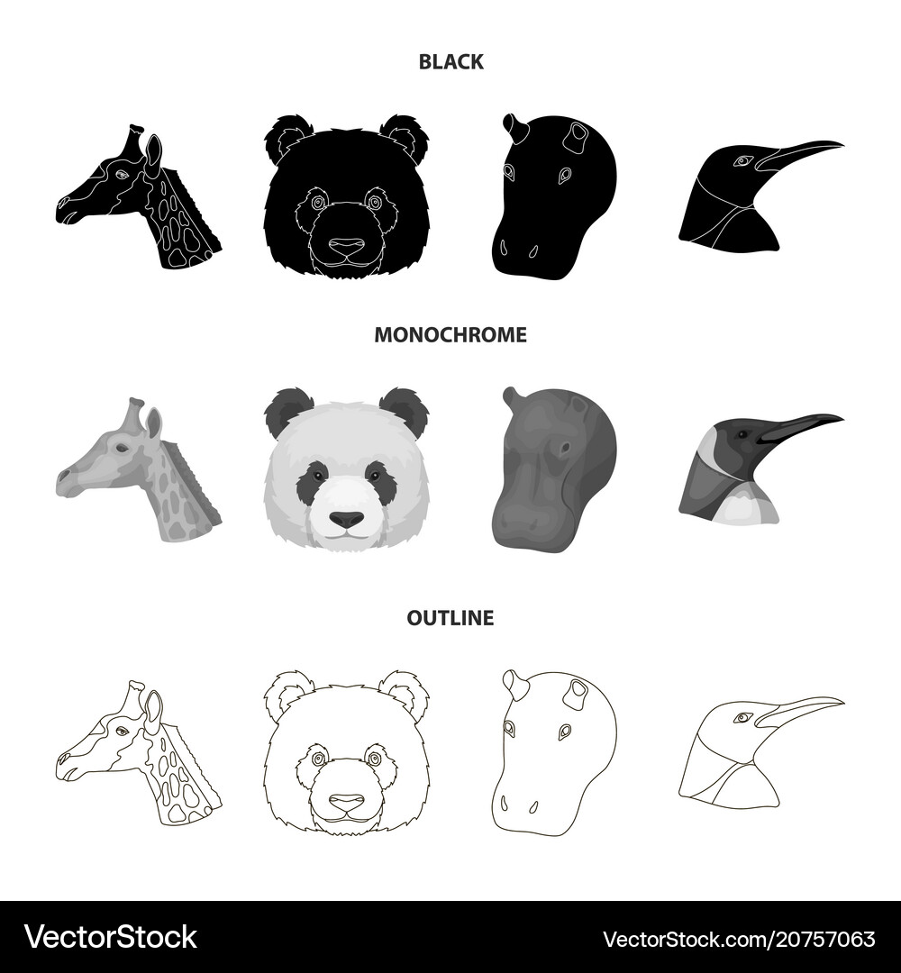 Panda giraffe hippopotamus penguin realistic Vector Image