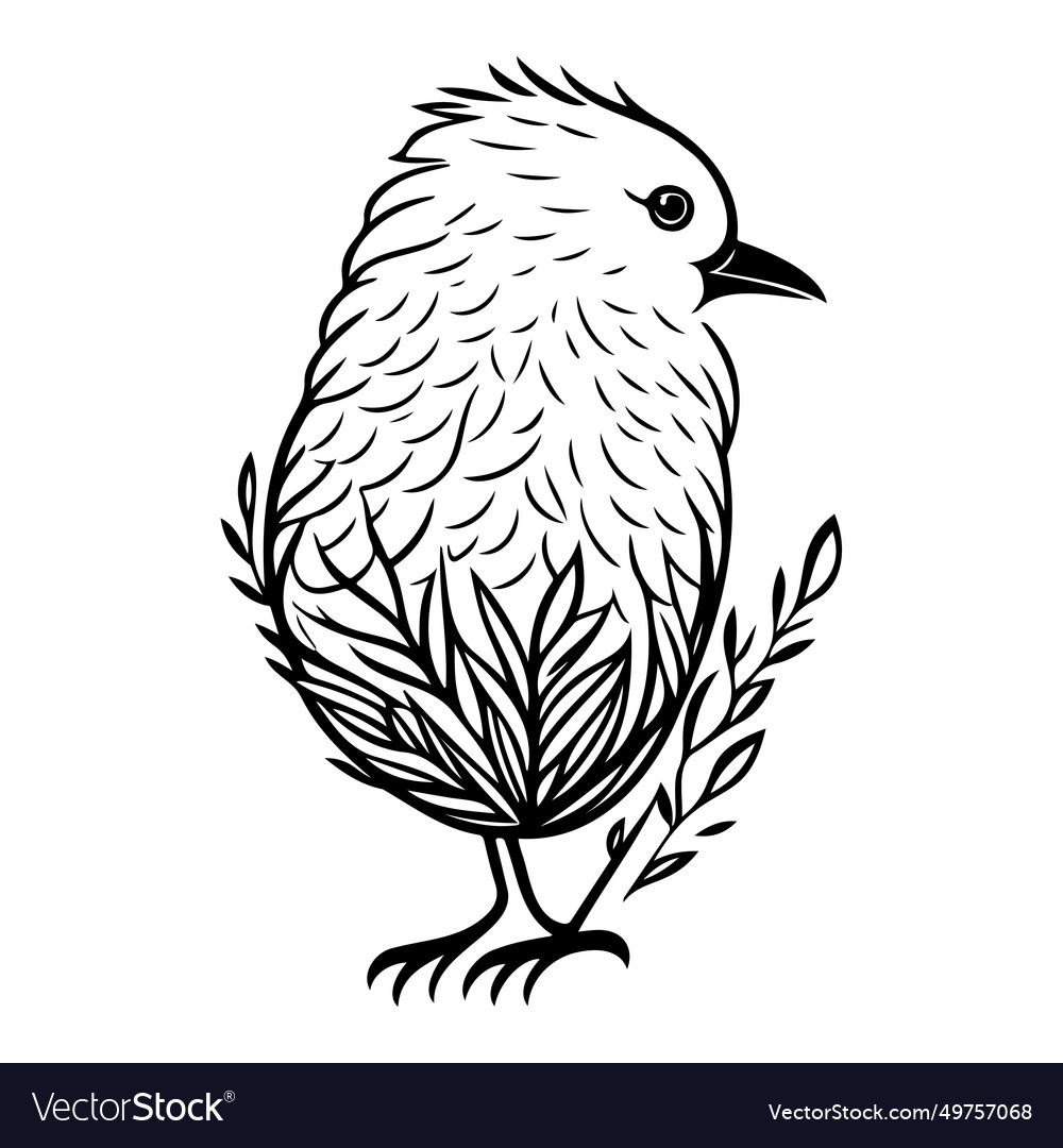 Doodle birds sketch hand draw Royalty Free Vector Image