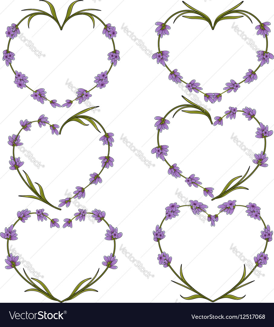 Set of heart flowers lavender Royalty Free Vector Image
