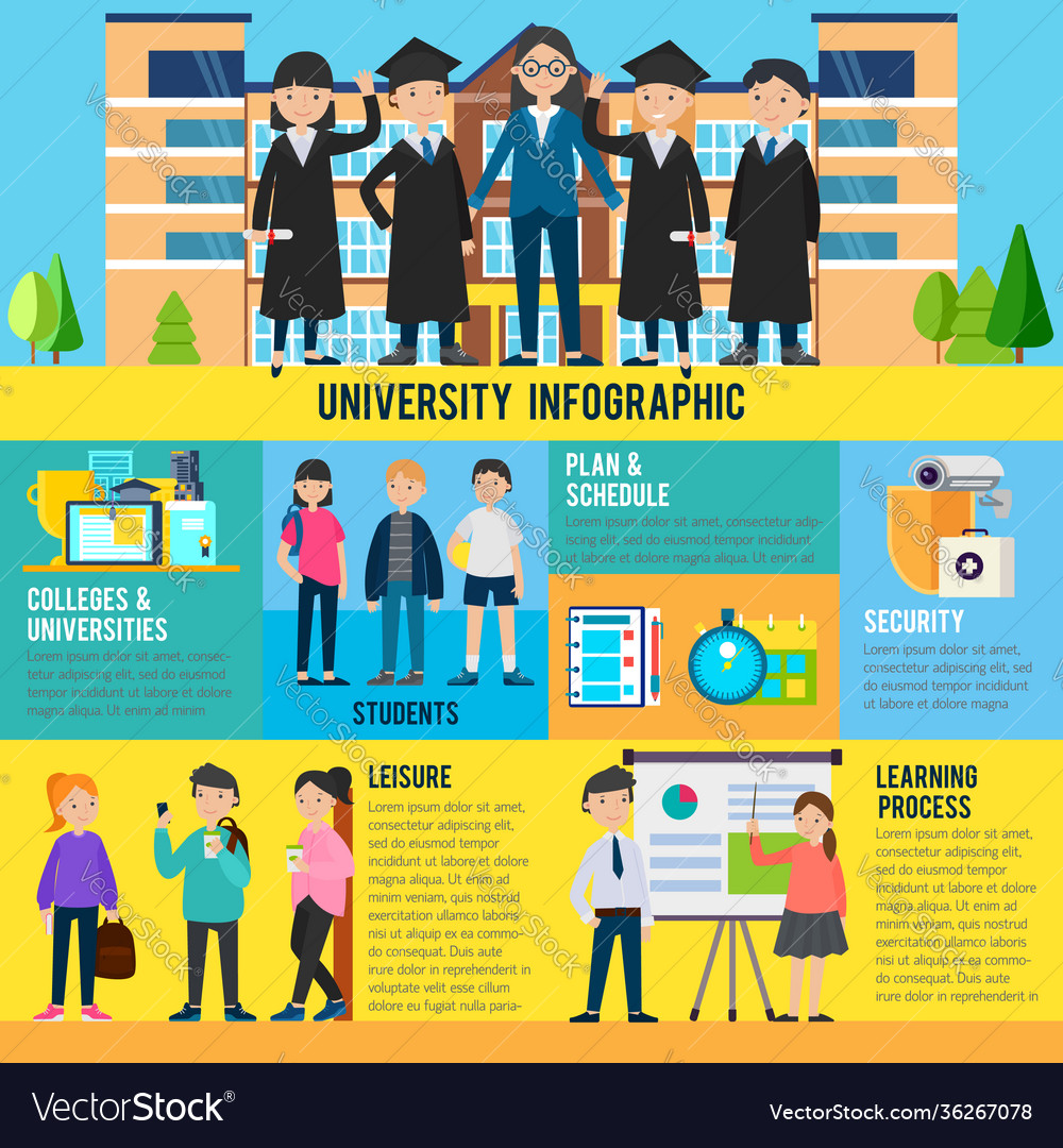 Education Infographic Vector Free Download