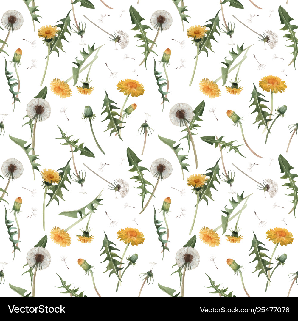 Watercolor dandelion blowball pattern Royalty Free Vector
