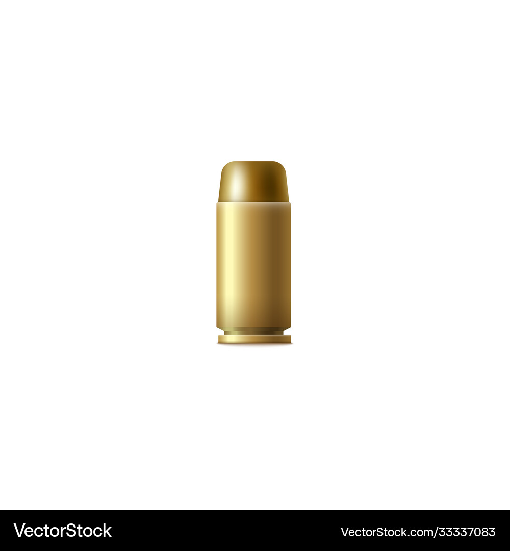 Template used weapon bullet cartridge Royalty Free Vector