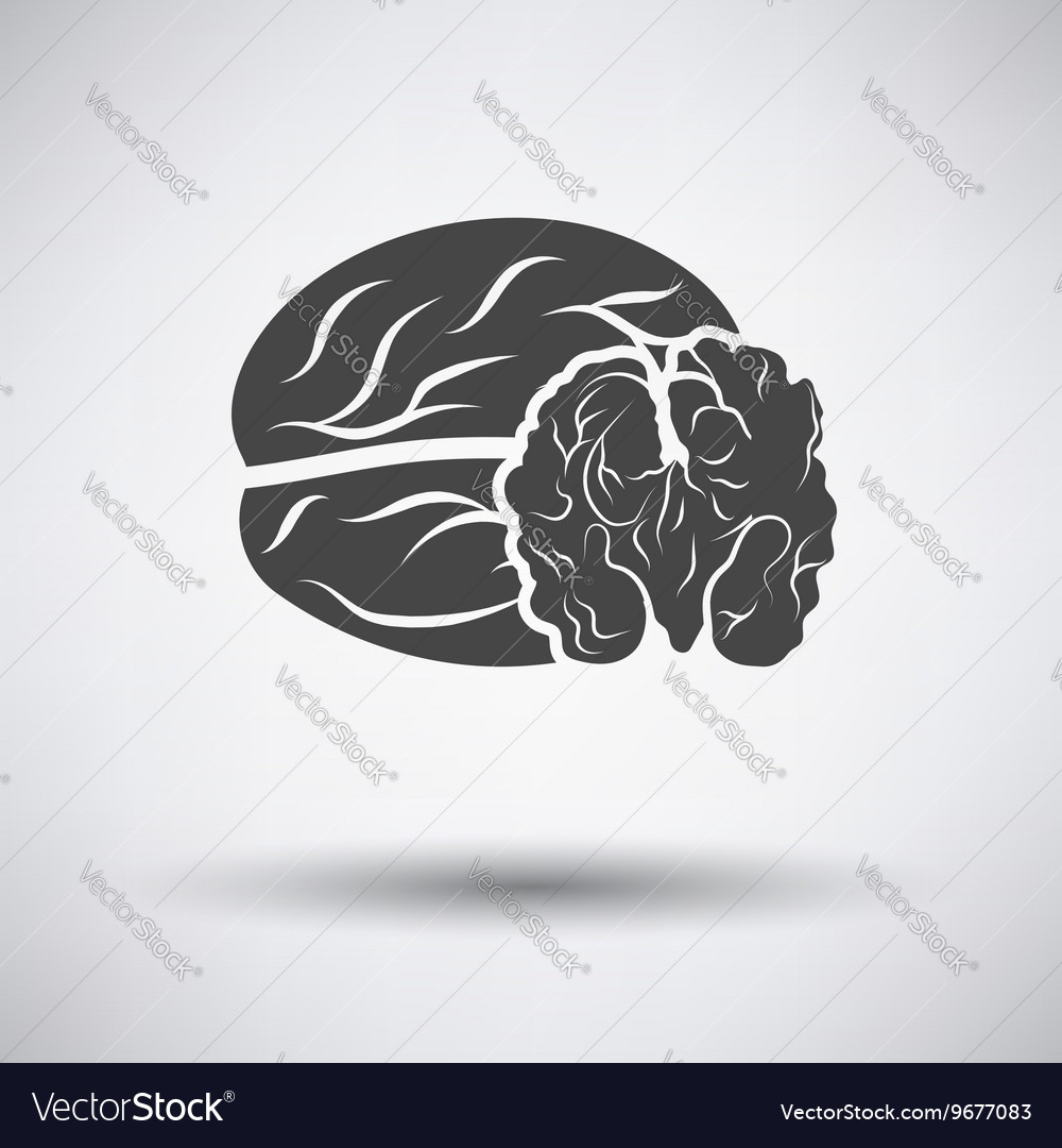 Walnut icon Royalty Free Vector Image - VectorStock