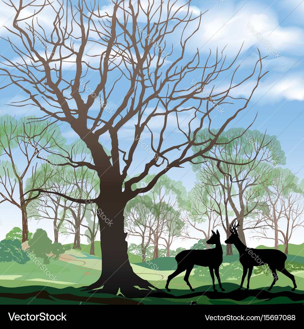 Spring landscape with wild animal deer forest Vector Image