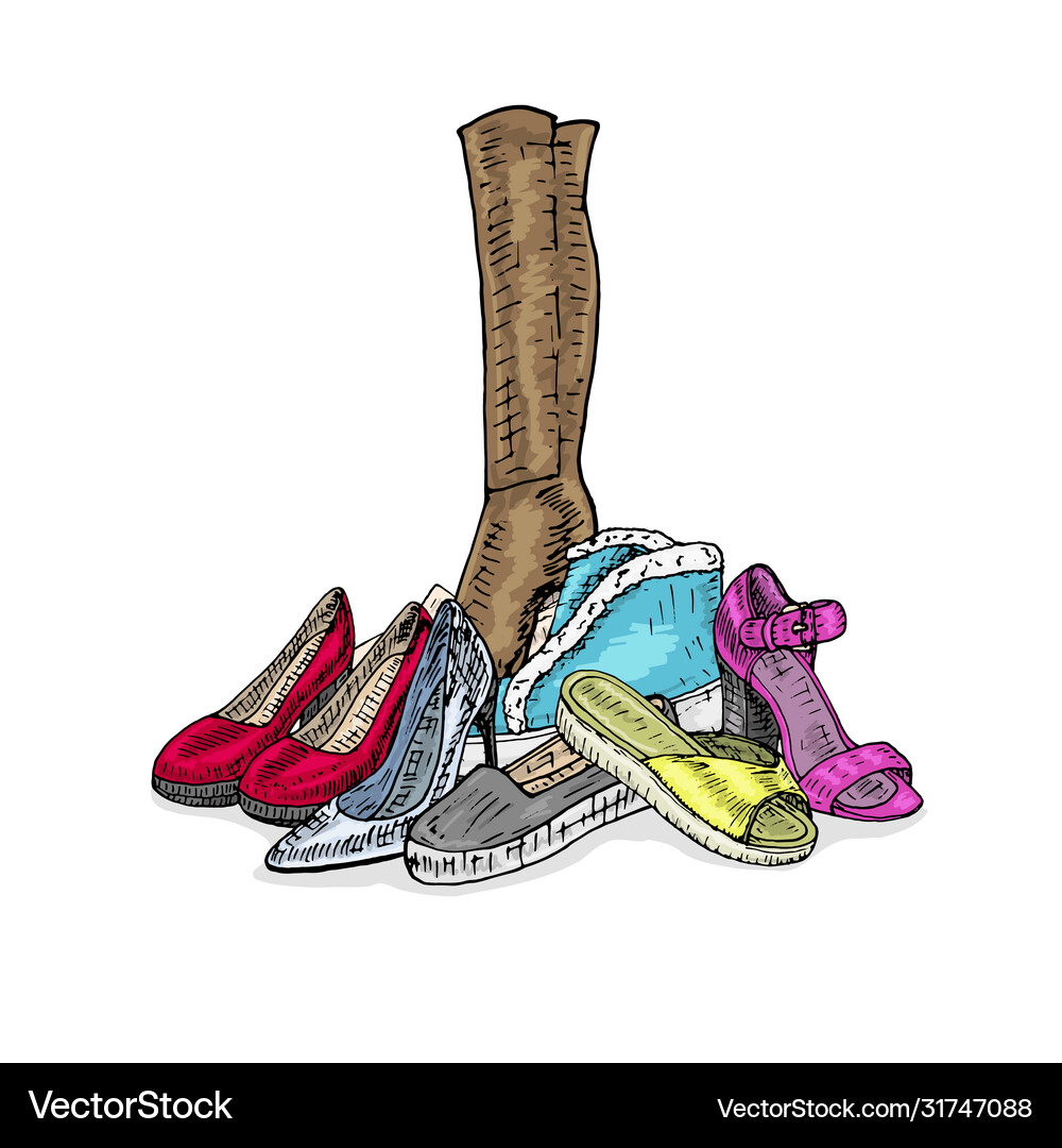 Womens shoes isolated Royalty Free Vector Image