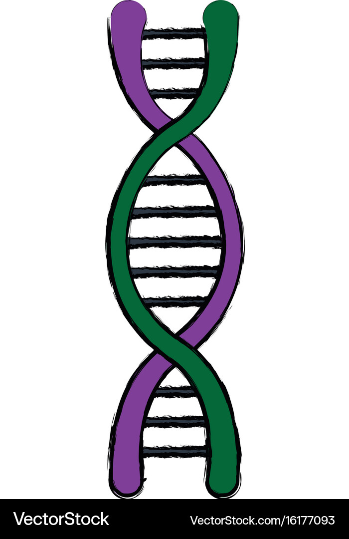 Dna molecule structure science genetic Royalty Free Vector