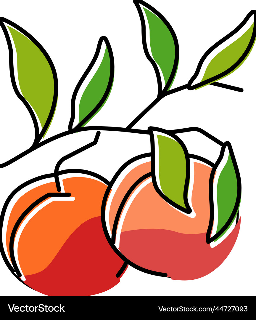 Plant branch nectarine color icon Royalty Free Vector Image