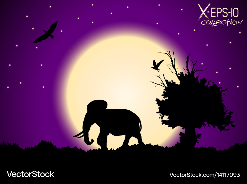 Violet sunset in jungle and starry sky Royalty Free Vector