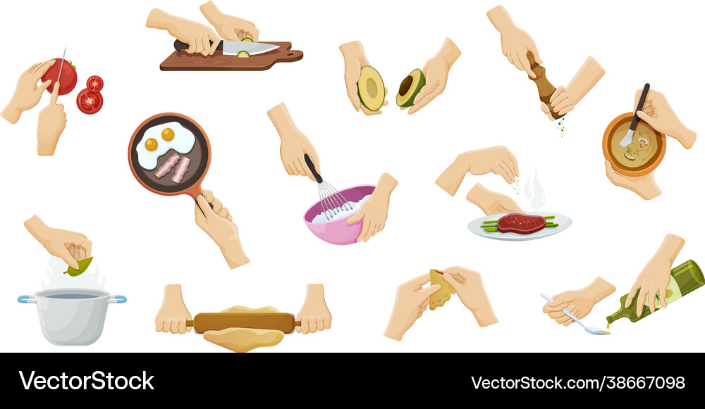 Collection human hands preparing food cooking Vector Image
