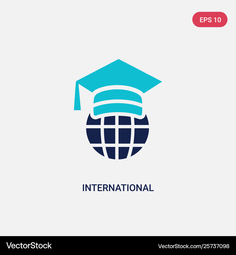 Two color international icon from e-learning Vector Image