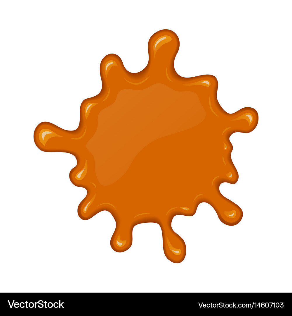 Splash of flowing caramel Royalty Free Vector Image