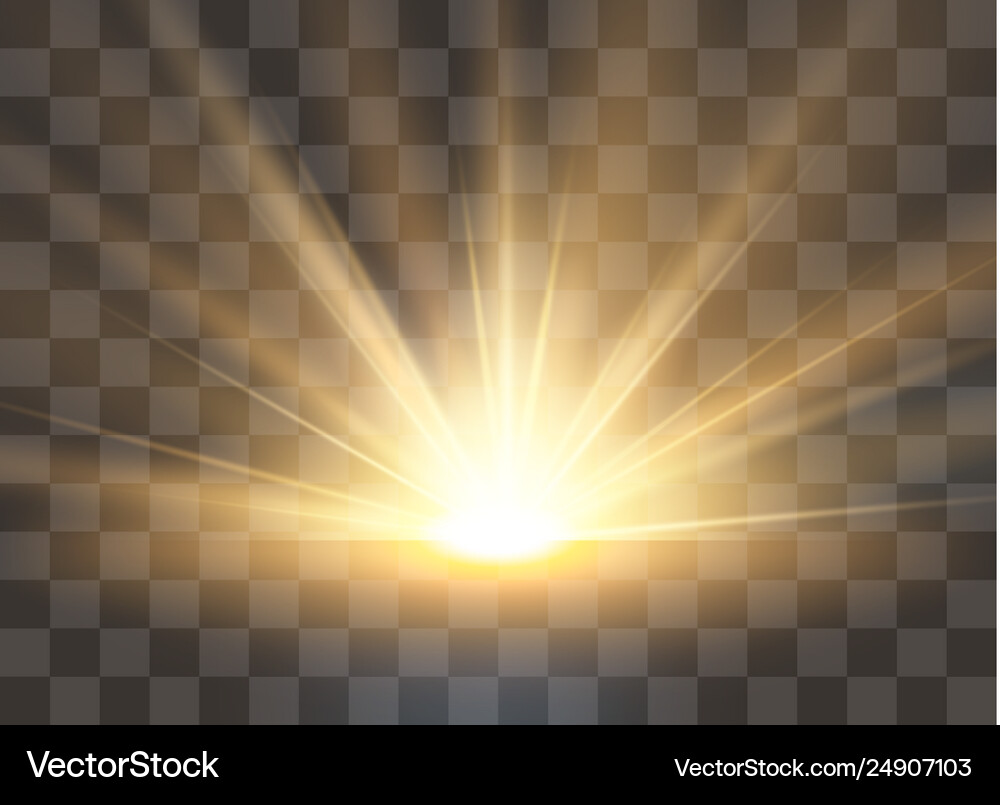 Sunrise dawn transparent sunlight special lens Vector Image