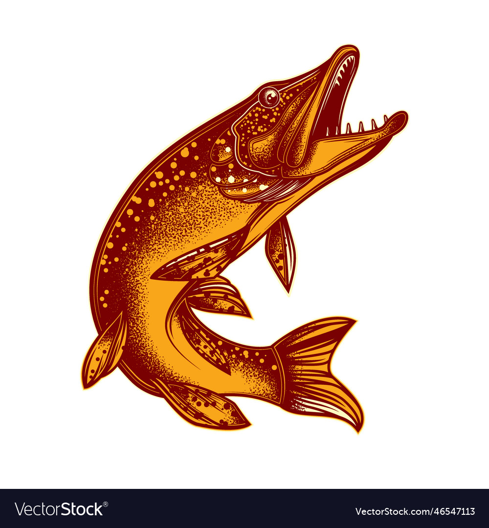 Fish-pike Royalty Free Vector Image - VectorStock