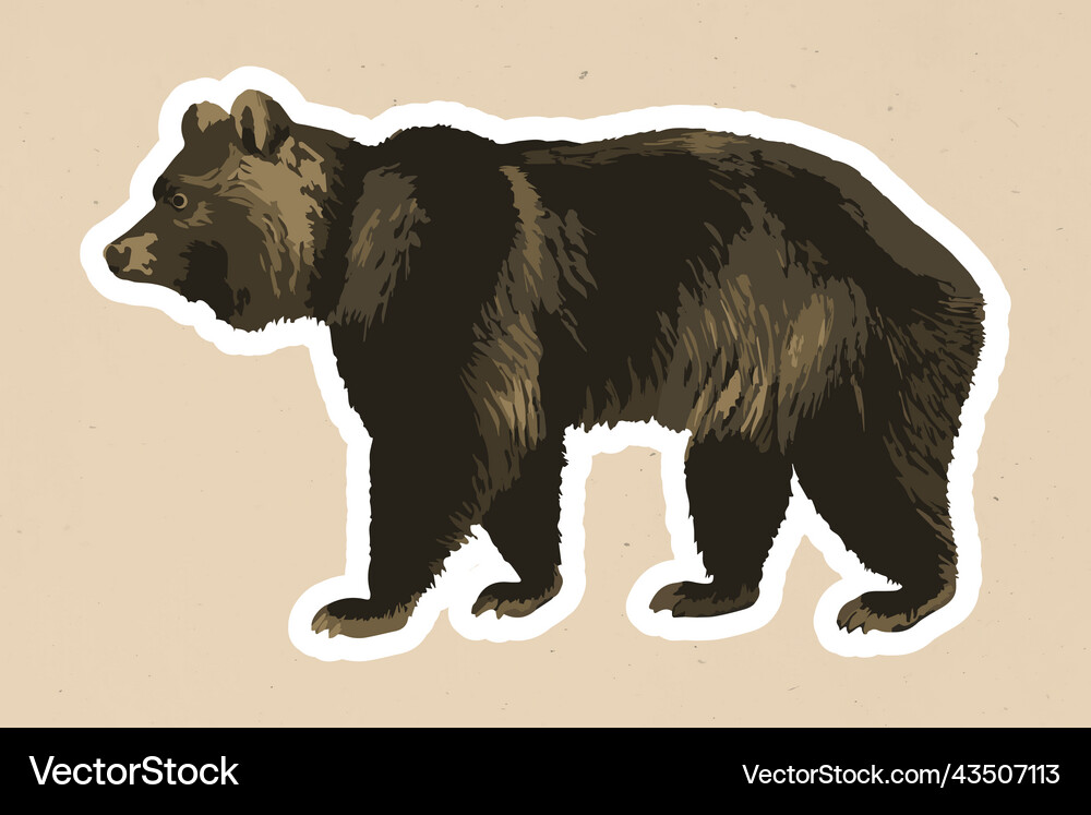 Grizzly bear sticker overlay with a white border Vector Image