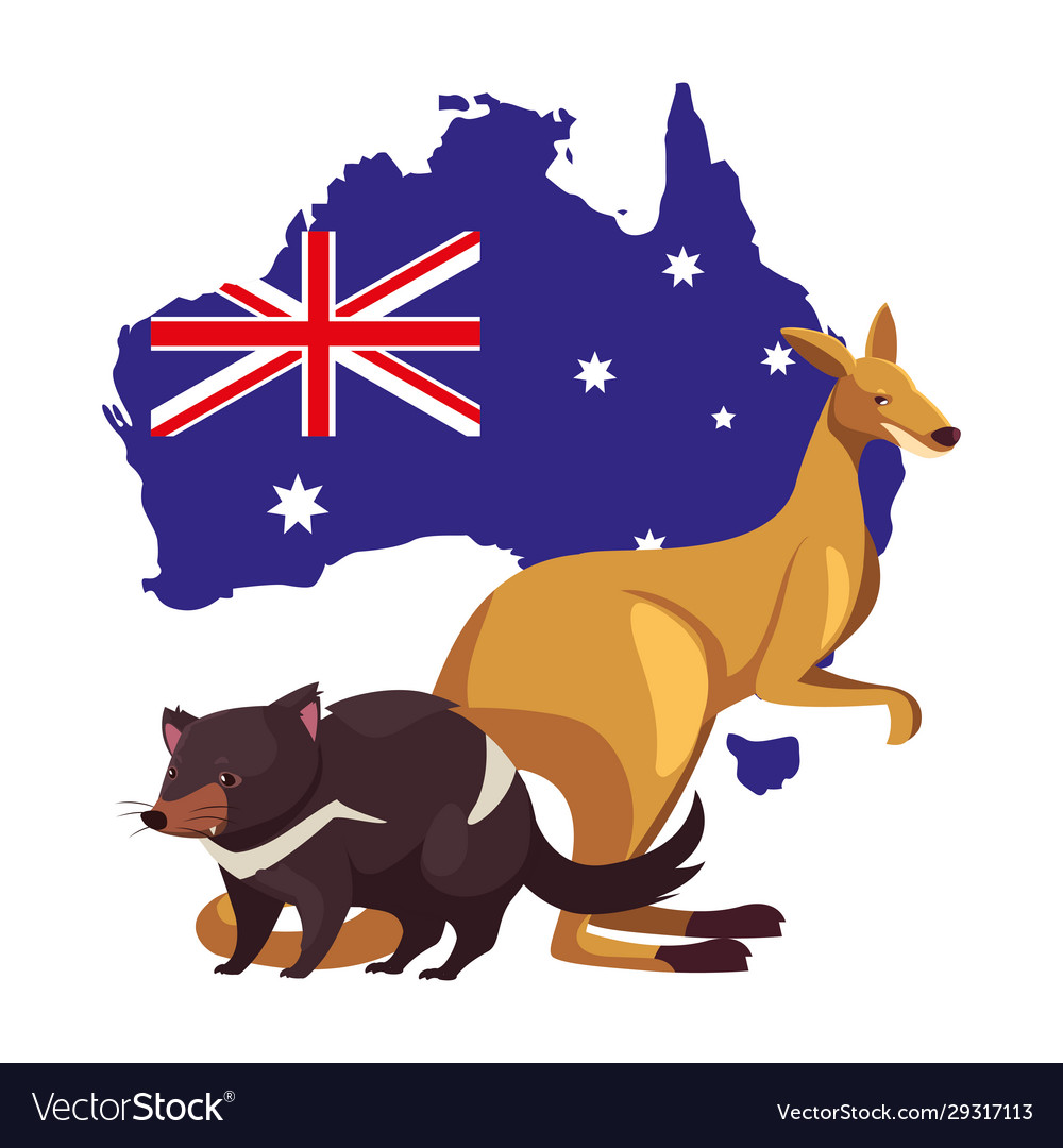 Kangaroo and tasmanian devil with map australia Vector Image