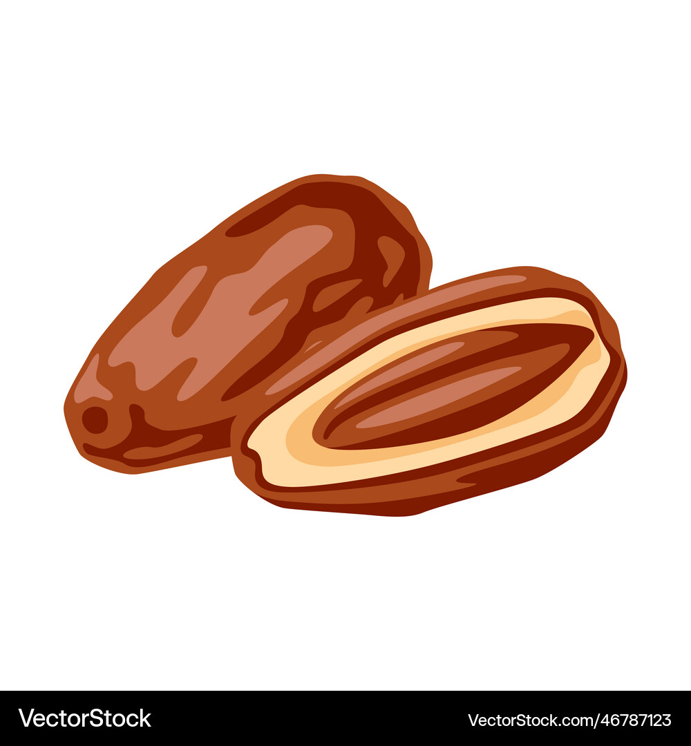 Dates fruits tropical vegetarian Royalty Free Vector Image