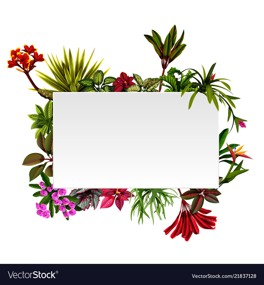 Frame botanical nature with the flowers accents Vector Image