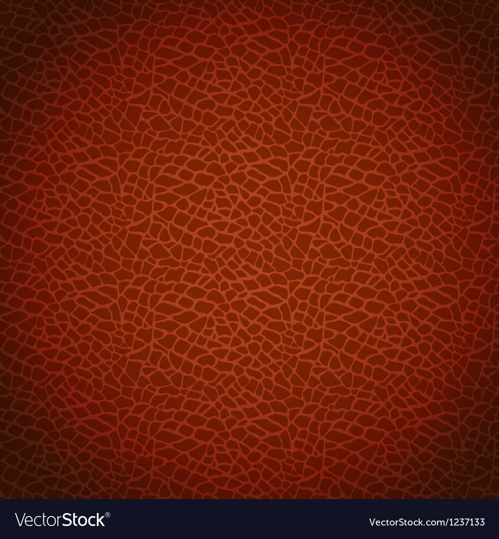 Brown leather texture Royalty Free Vector Image